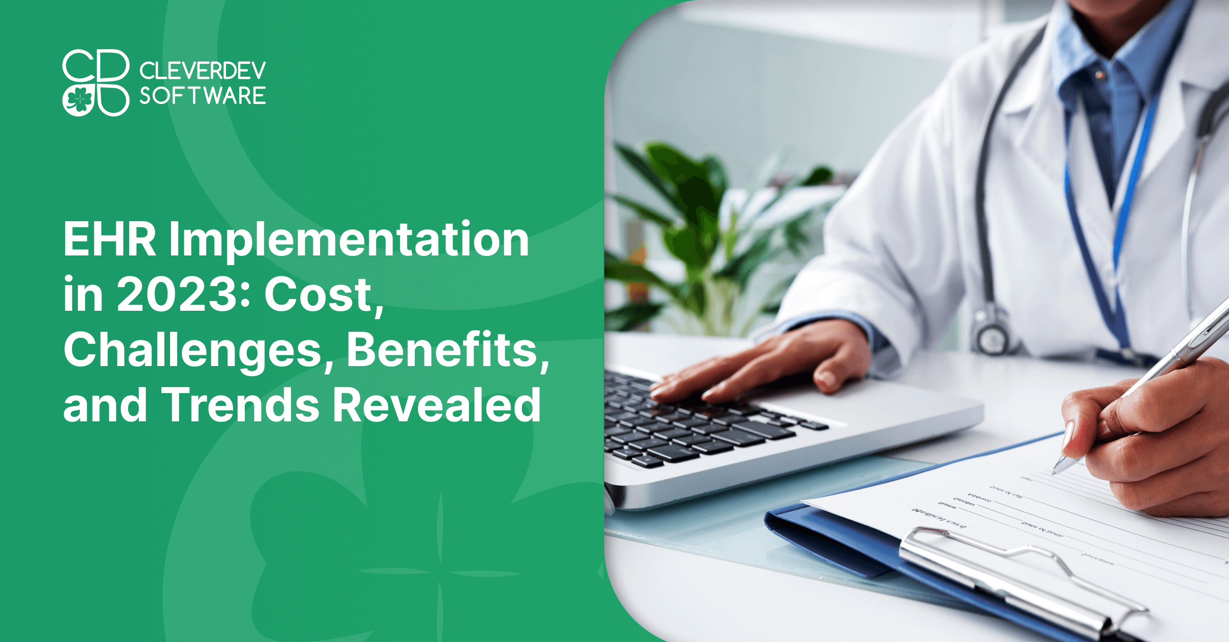 Electronic Health Record (EHR) Implementation Guide 2023 | CleverDev Software
